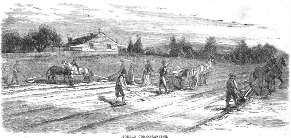 Planting Corn - Farm Collector